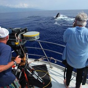 Humpback Whales - Rotten Tomatoes