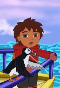 Go, Diego, Go!: Season 4, Episode 1 - Rotten Tomatoes