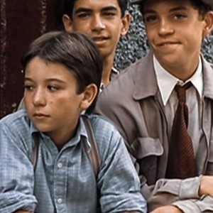 Sun - Rotten Tomatoes