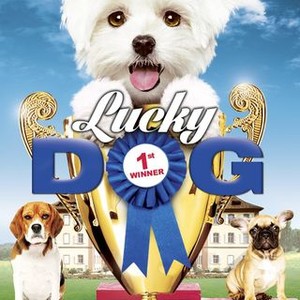 Lucky Dog - Rotten Tomatoes
