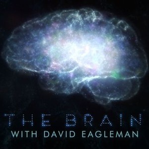 The Brain With David Eagleman - Rotten Tomatoes