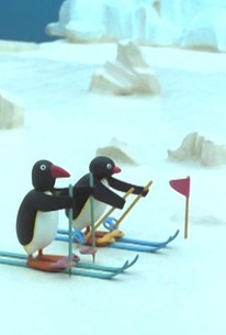 Pingu: Season 3, Episode 1 | Rotten Tomatoes