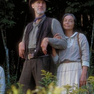 The Education of Little Tree - Rotten Tomatoes