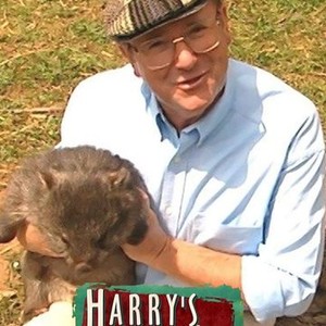 Harry's Practice - Rotten Tomatoes