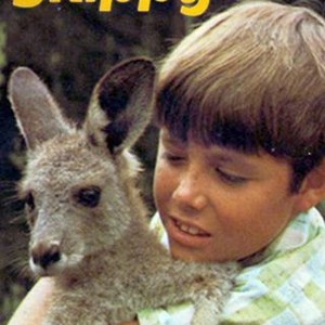 Skippy: Season 3, Episode 13 - Rotten Tomatoes