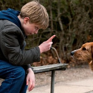 Storm - Rotten Tomatoes