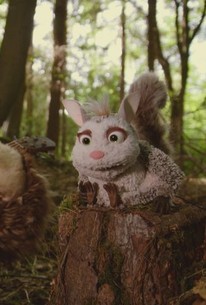 Wildwoods: Season 1, Episode 20 | Rotten Tomatoes