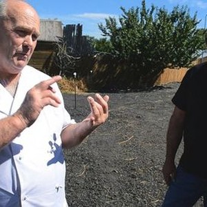 Bee People - Rotten Tomatoes