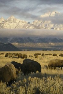 America's National Parks: Season 2, Episode 6 | Rotten Tomatoes