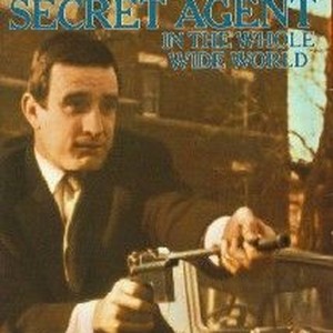 Second Best Secret Agent in the Whole Wide World (1965) - Rotten Tomatoes