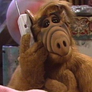 ALF: Season 3, Episode 17 - Rotten Tomatoes