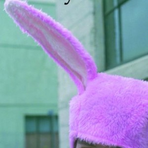 Bunny - Rotten Tomatoes
