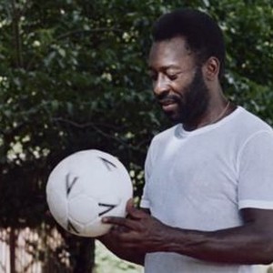 Hotshot - Rotten Tomatoes