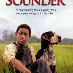 Sounder - Rotten Tomatoes