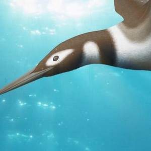 Eons: Season 2, Episode 43 - Rotten Tomatoes