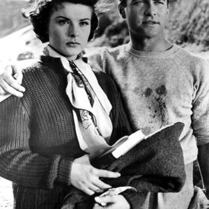 Richard Todd - Rotten Tomatoes