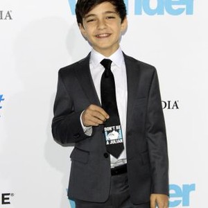 Bryce Gheisar - Rotten Tomatoes