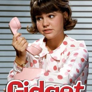 Gidget: Season 1, Episode 32 - Rotten Tomatoes