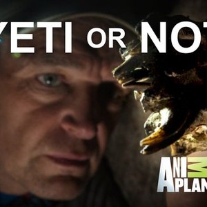 Yeti or Not - Rotten Tomatoes