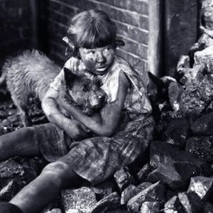 Ginger - Rotten Tomatoes