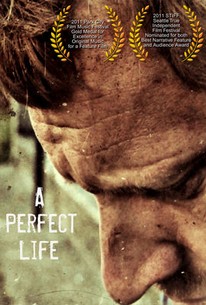 A Perfect Life (2011) - Rotten Tomatoes