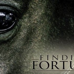 Finding Fortune - Rotten Tomatoes