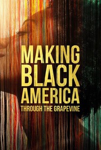 Making Black America: Through the Grapevine: Season 1 | Rotten Tomatoes