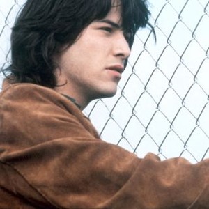 Permanent Record - Rotten Tomatoes