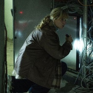 The Chestnut Man - Rotten Tomatoes