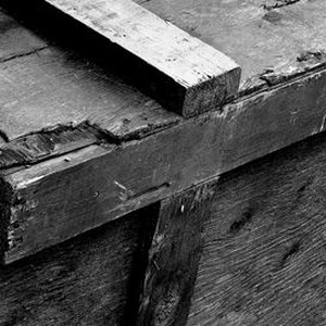 Colleen Stan: The Girl in the Box - Rotten Tomatoes