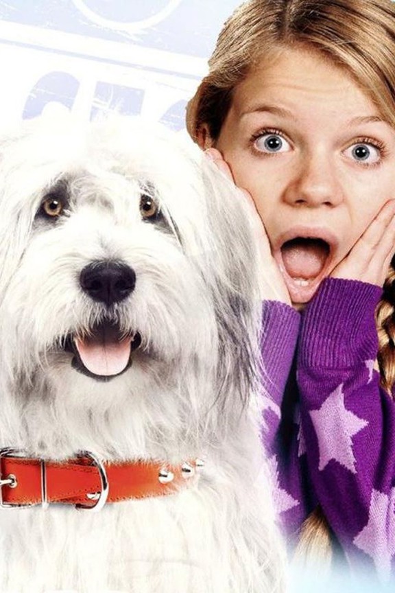 Abner The Invisible Dog Movie