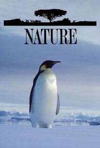 Nature: Season 6 | Rotten Tomatoes