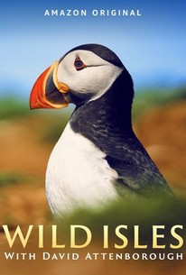 Wild Isles: Season 1, Episode 5 | Rotten Tomatoes