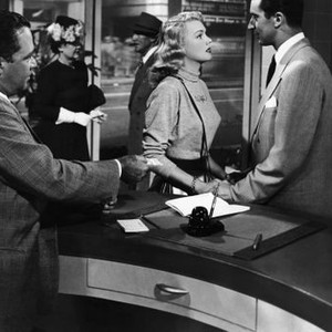 Patricia Knight - Rotten Tomatoes