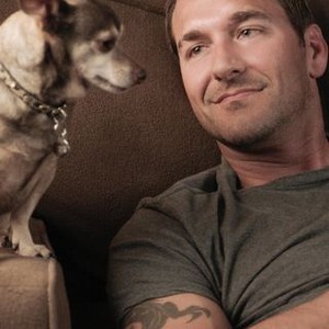 Lucky Dog - Rotten Tomatoes