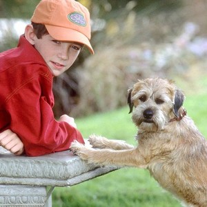 Good Boy! - Rotten Tomatoes