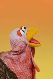 My Sesame Street Friends: My Elmo 3, Episode 11 | Rotten Tomatoes