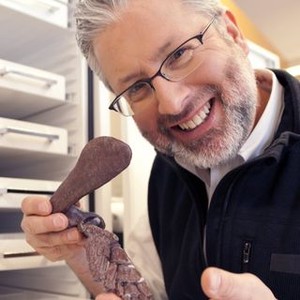 Your Inner Fish - Rotten Tomatoes