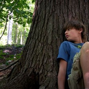 The Cold Lands - Rotten Tomatoes