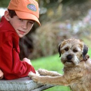 Good Boy! (2003) - Rotten Tomatoes