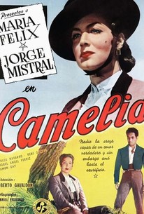 Camelia | Rotten Tomatoes