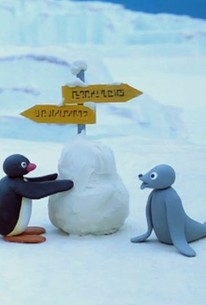 Pingu: Season 2, Episode 26 - Rotten Tomatoes