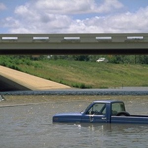 Walking on Dead Fish - Rotten Tomatoes