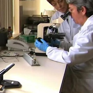 The Disappearing Male - Rotten Tomatoes