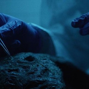 Cold Case Files: Season 1, Episode 9 - Rotten Tomatoes