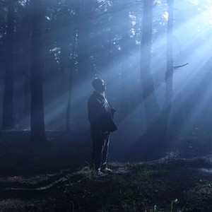 Feral - Rotten Tomatoes