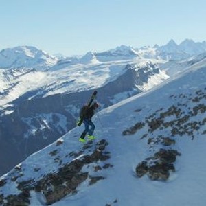 Super Frenchie - Rotten Tomatoes