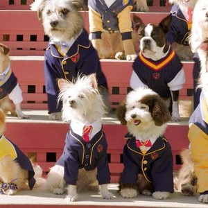 Pup Academy: Season 1, Episode 9 - Rotten Tomatoes