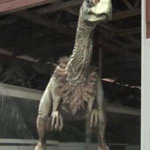 Terror Birds - Rotten Tomatoes