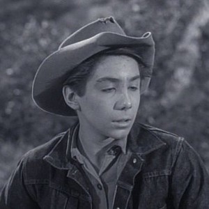 The Rifleman: Season 4, Episode 25 - Rotten Tomatoes